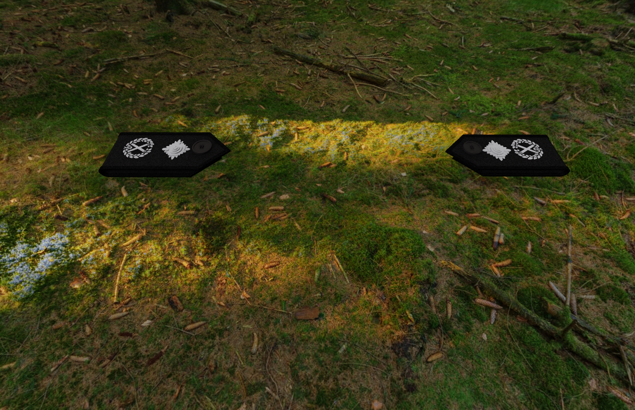 Police Rank slides – Clearly Development