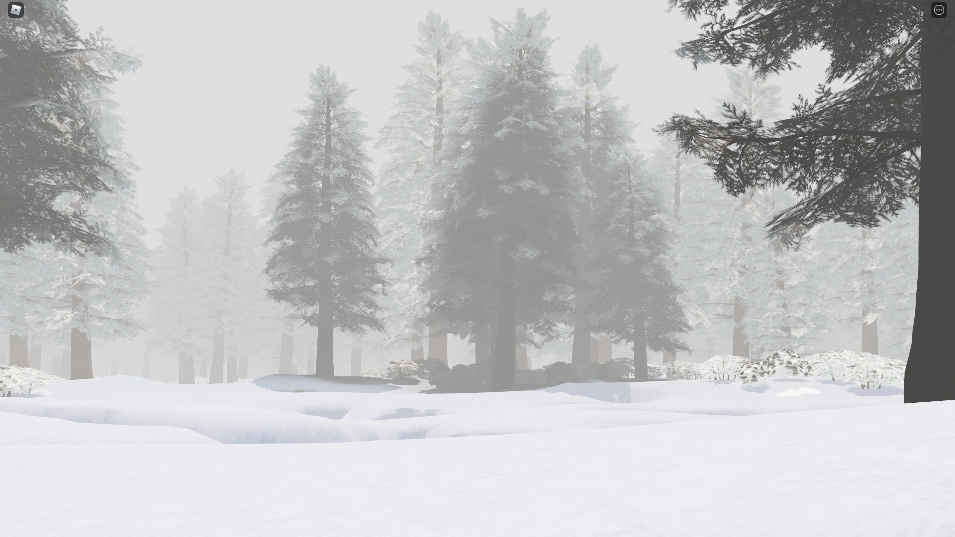 Winter Forest – Clearly Development