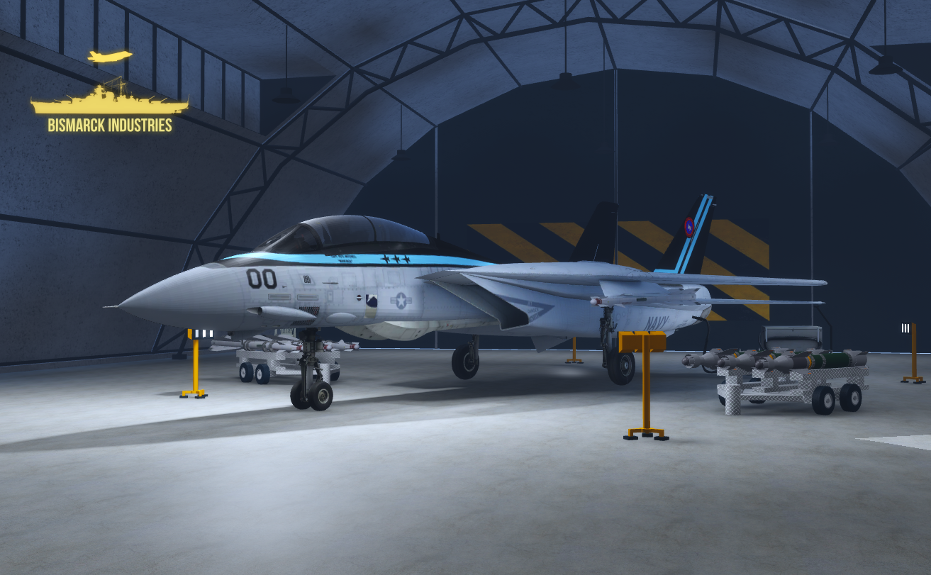 Grumman F-14 A Tomcat – Clearly Development