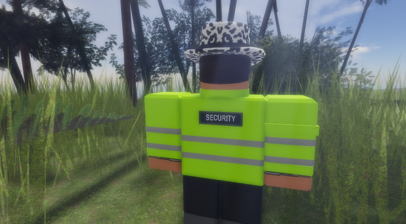 Security Vest and Band – Clearly Development