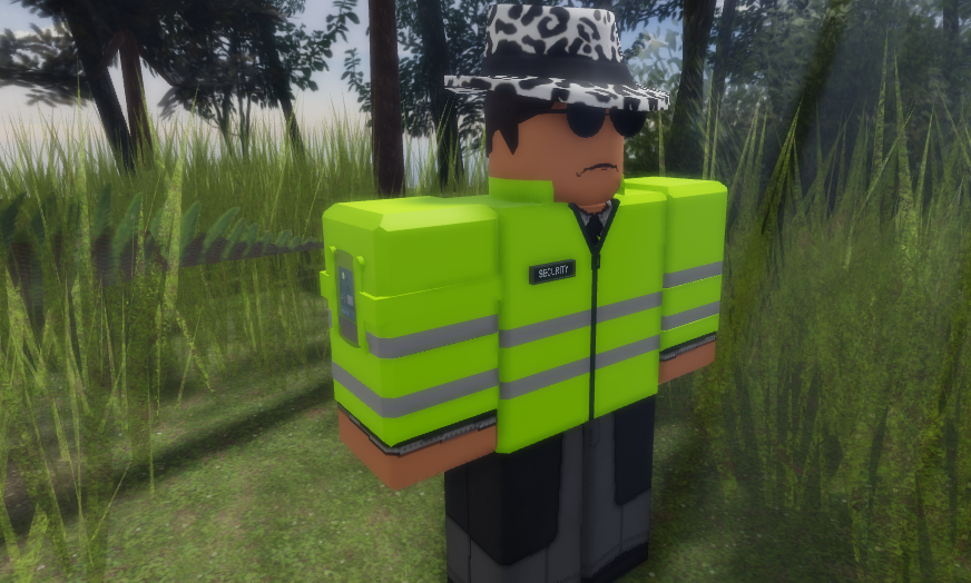 Security Vest and Band – Clearly Development