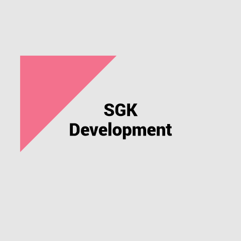 Clearly Development - Premium Roblox Digital Marketplace