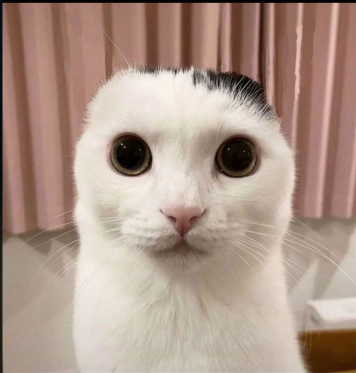 Ephemntal Gui Things – Products – Clearly Development