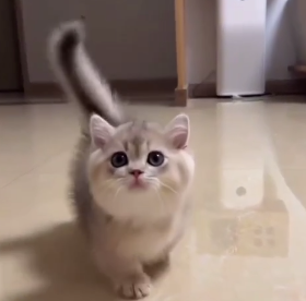 Detailed British ArmyHeadquarter building – SALE – Clearly Development