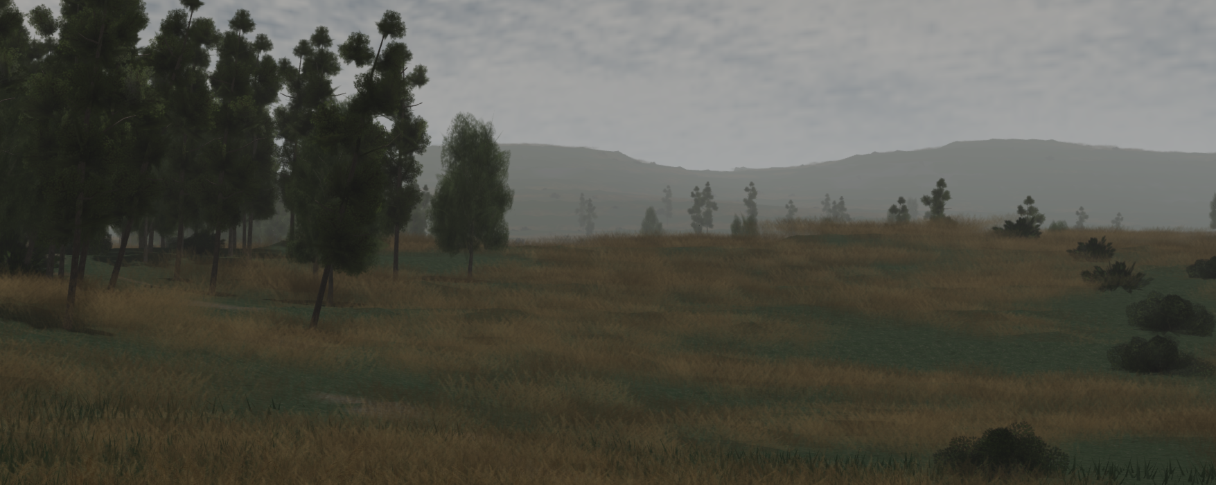 Large Battle Grasslands – Clearly Development